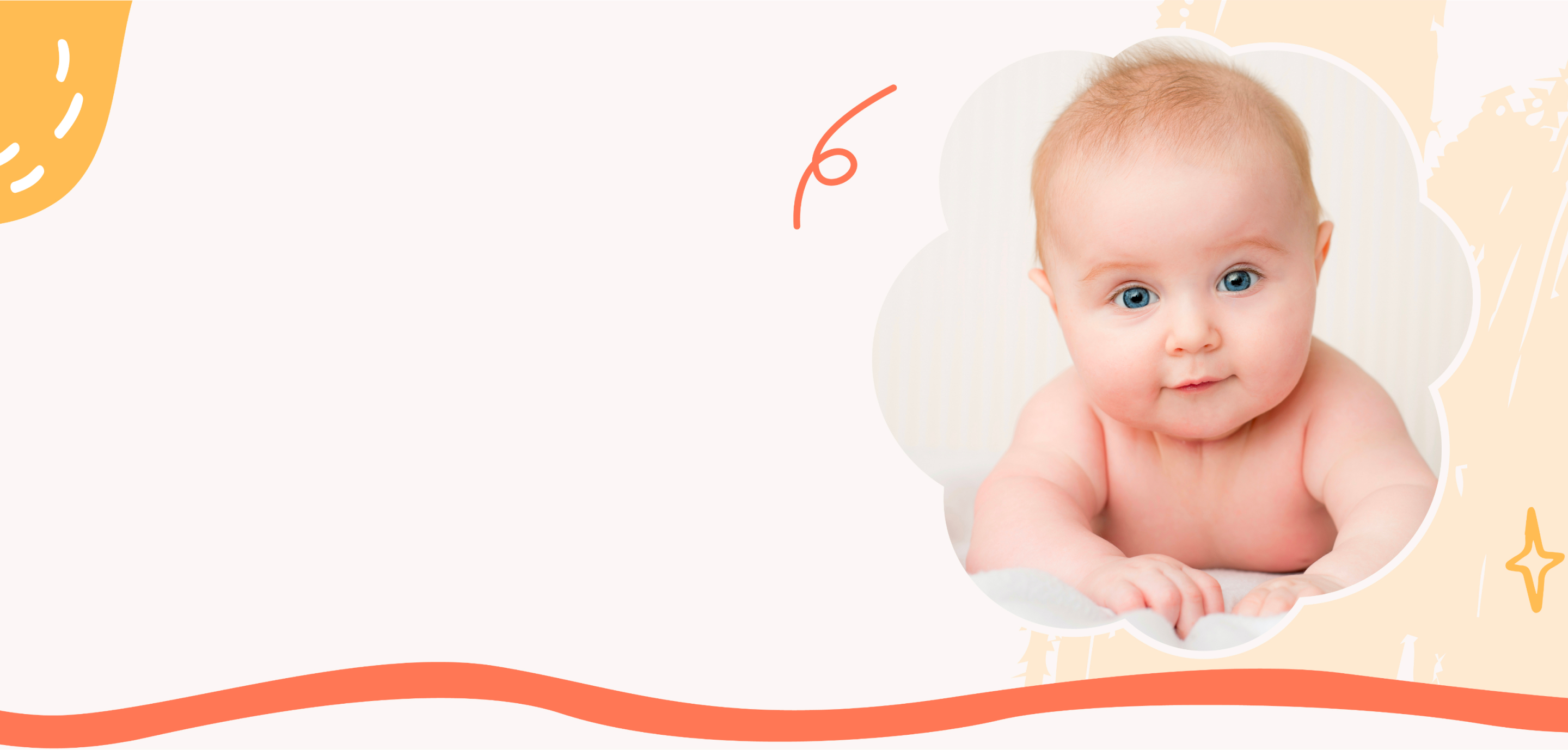 HiPP Dutch vs. German Formula – infantiz